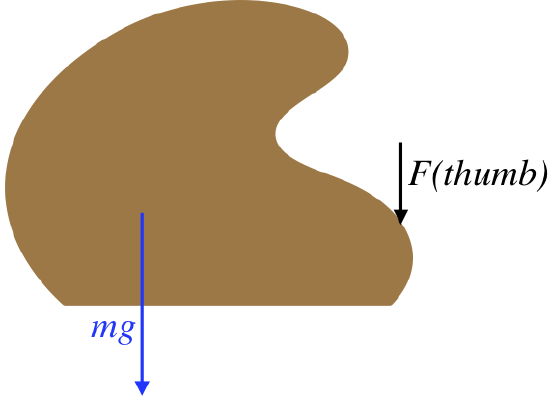 5.5: Static Equilibrium - Physics LibreTexts